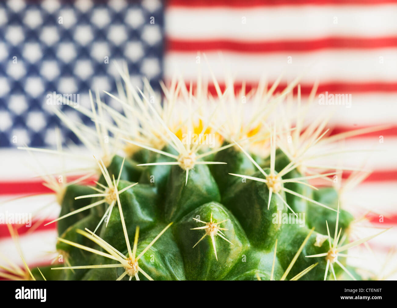 Cactus and flag hi-res stock photography and images - Alamy