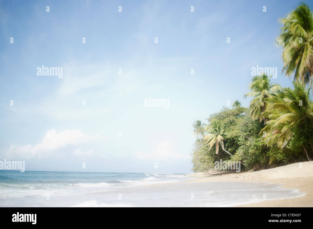 USA, Puerto Rico, Ricon, Tropical beach Stock Photo - Alamy