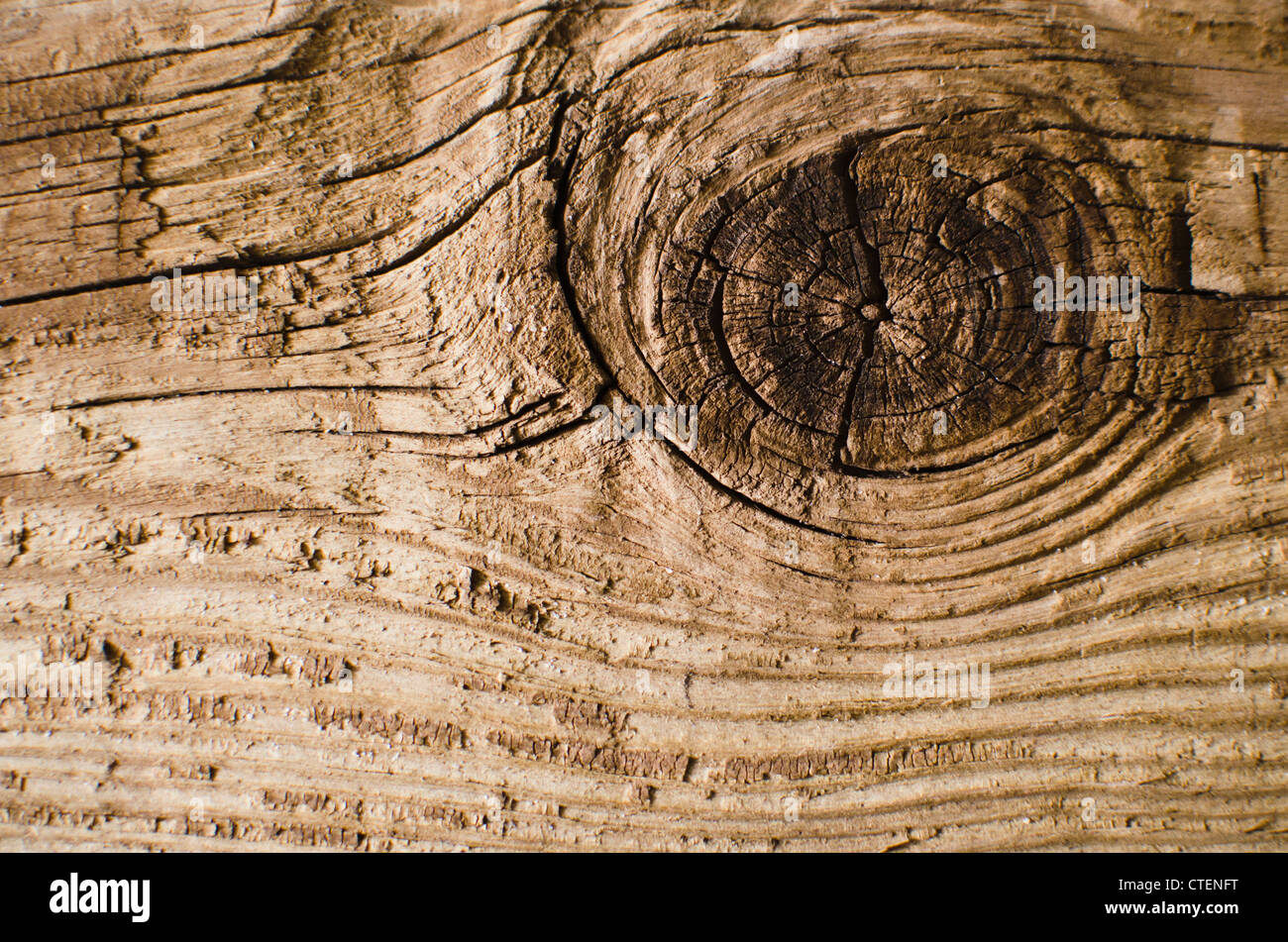 USA, New Jersey, Jersey City, Old plank Stock Photo - Alamy