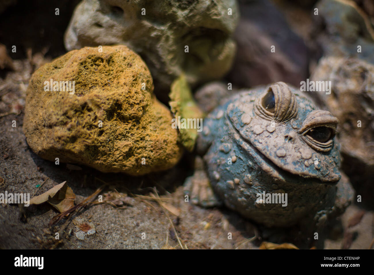 Biology statue hi-res stock photography and images - Alamy