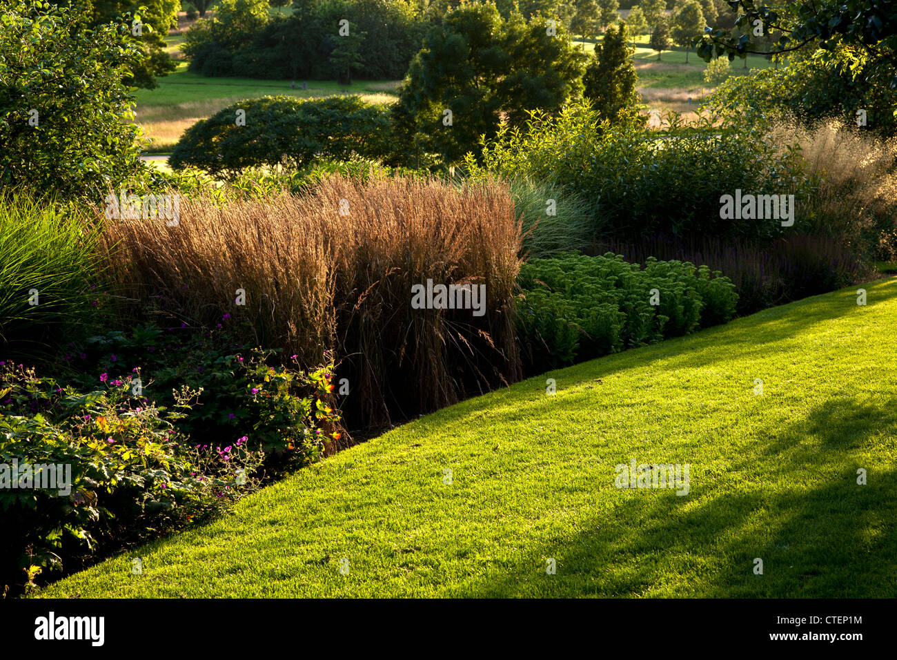 Grasses and Perennial Plants in Island Bed at RHS Hyde Hall Stock Photo ...