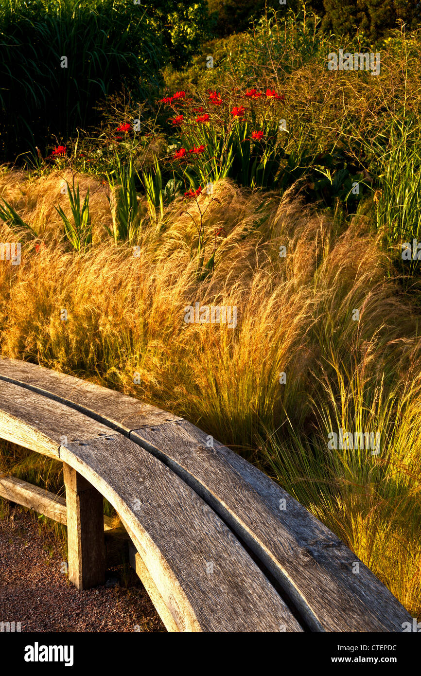 Crocosmia and Stipa Tenuissma in Evening Sun at RHS Hyde Hall with ...