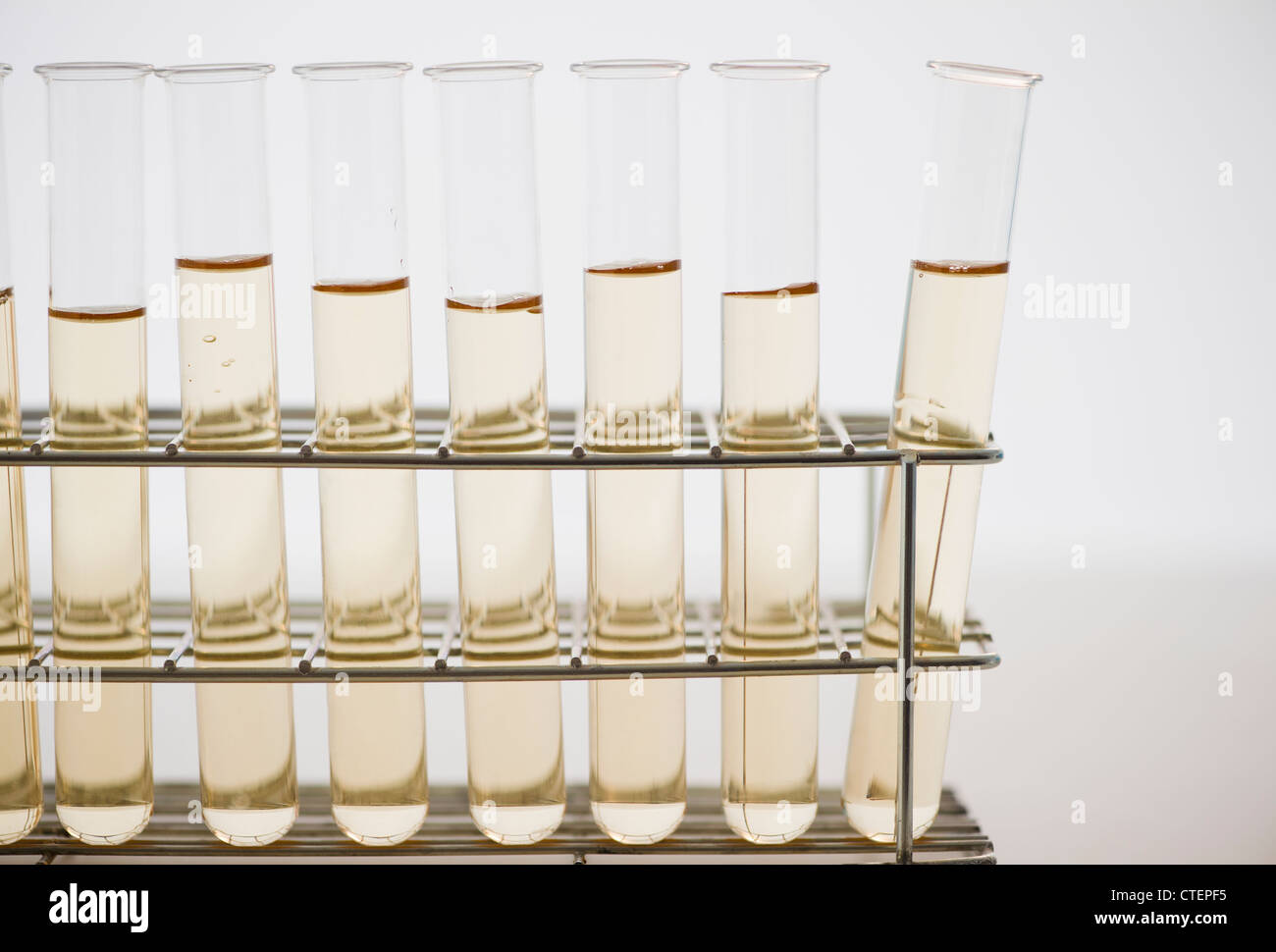 Liquid in test tubes Stock Photo - Alamy
