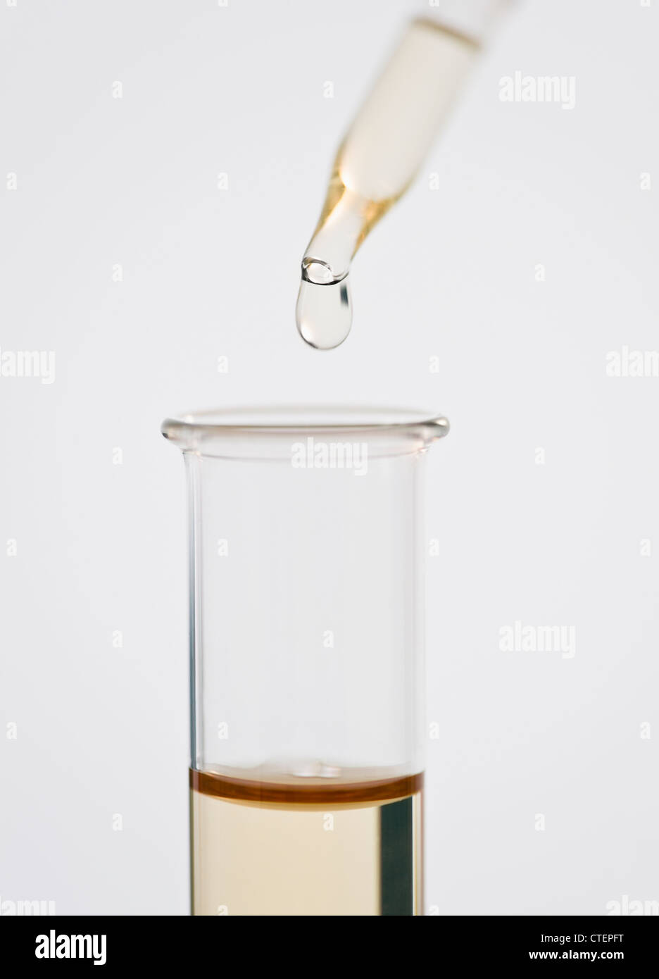 Pipetting liquid into test tube Stock Photo - Alamy