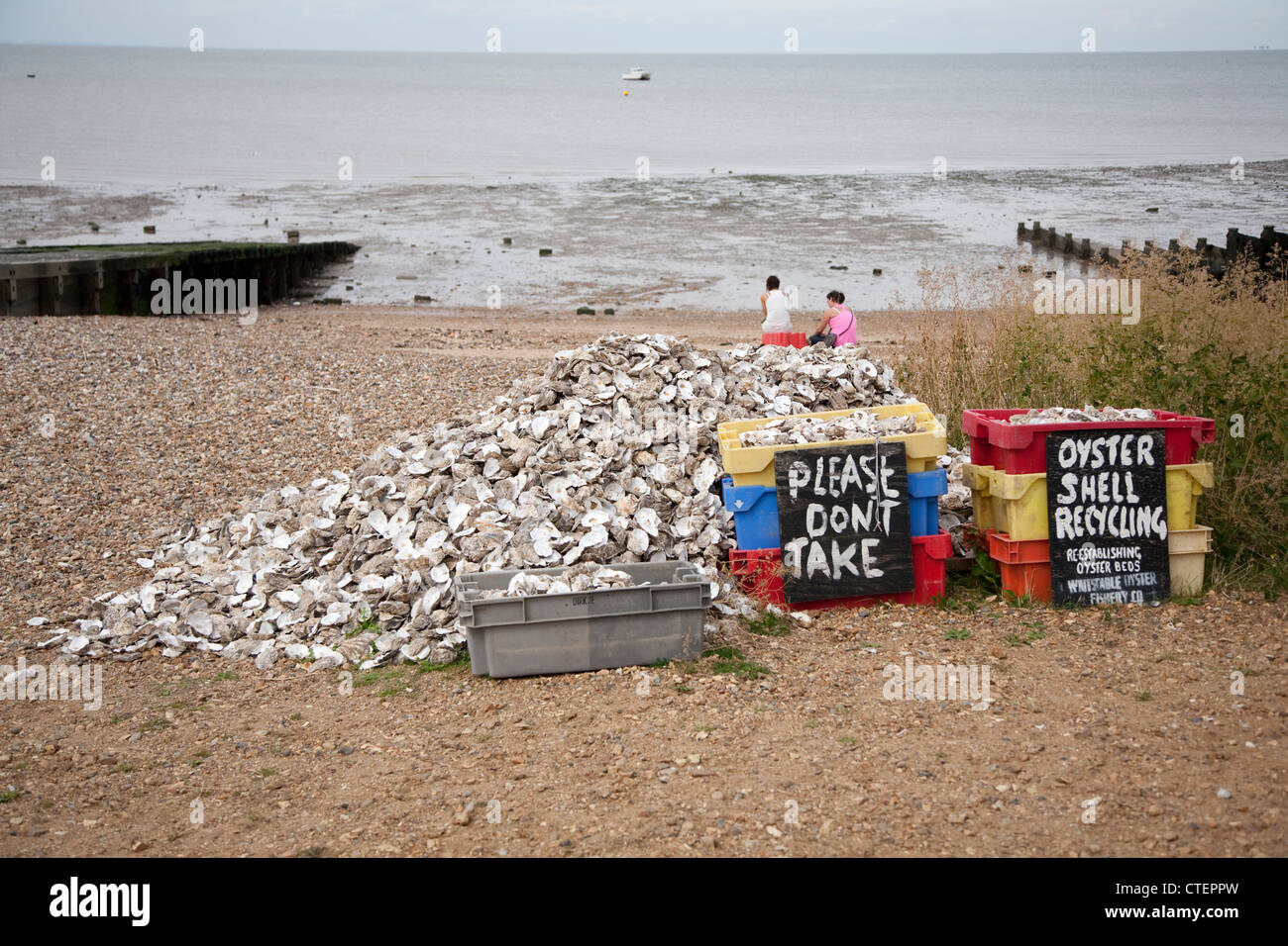 Oyster shells at Whitstable, Kent Stock Photo - Alamy