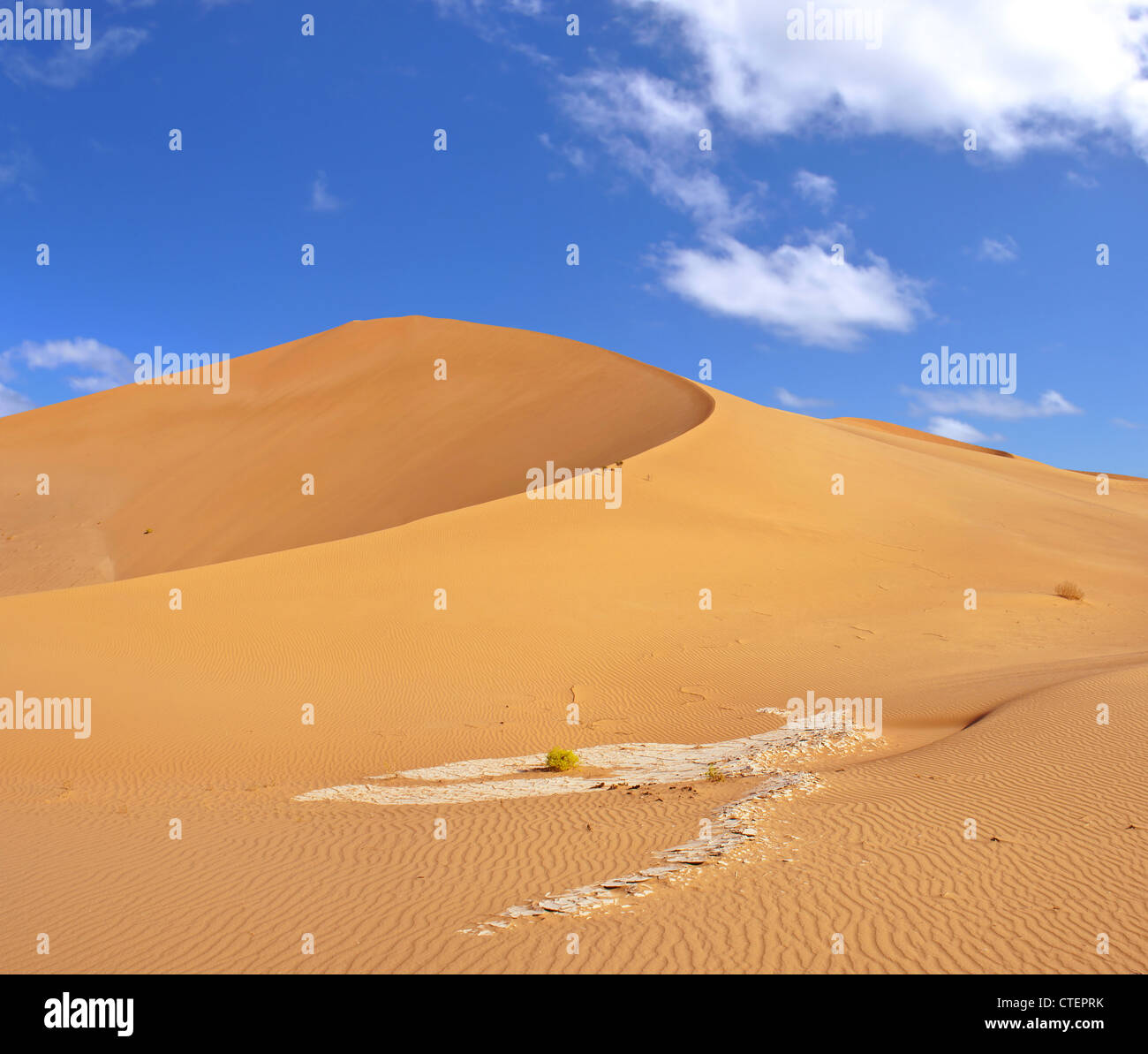 Dunes in the Rub Al Khali Desert in the western Oman Stock Photo - Alamy