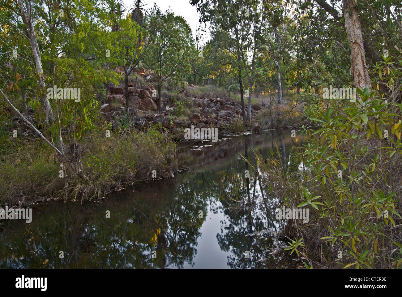 BELL GORGE, BELL CREEK, KIMBERLEY, WESTERN AUSTRALIA, AUSTRALIA Stock ...