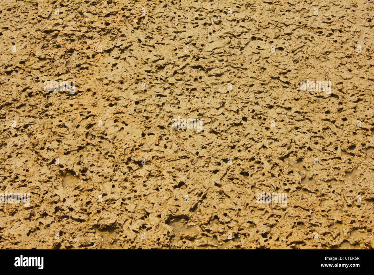 Wet muddy beach mountains hi-res stock photography and images - Alamy