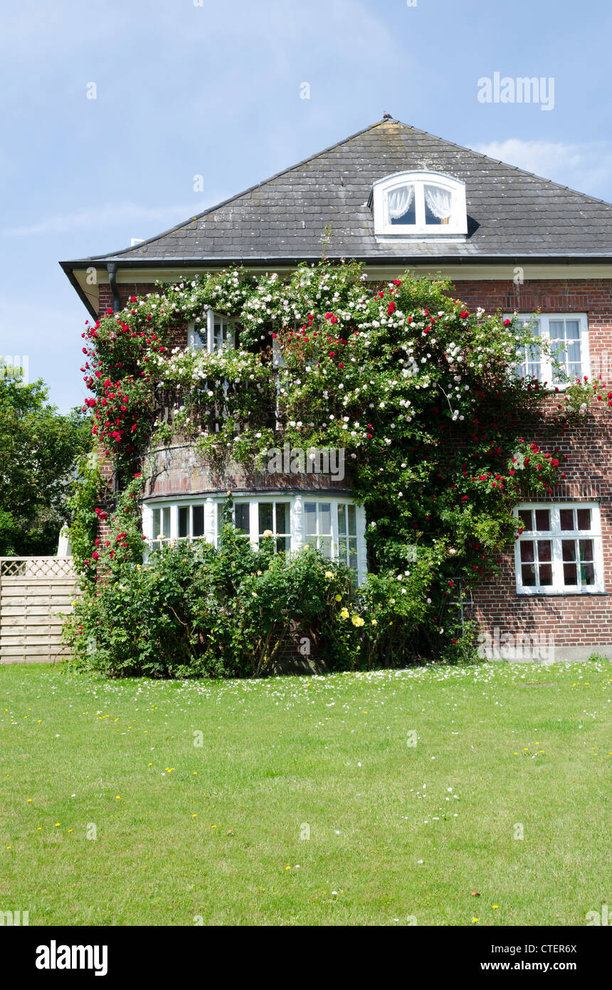 Victorian house with red roses hi-res stock photography and images - Alamy
