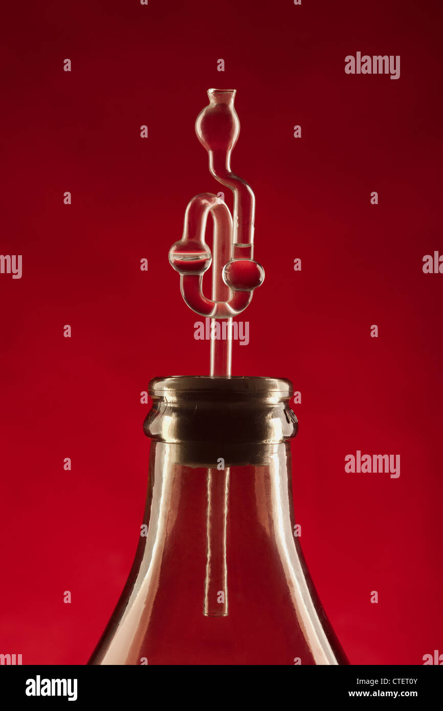 fermentation tube and demijohn on red background Stock Photo - Alamy