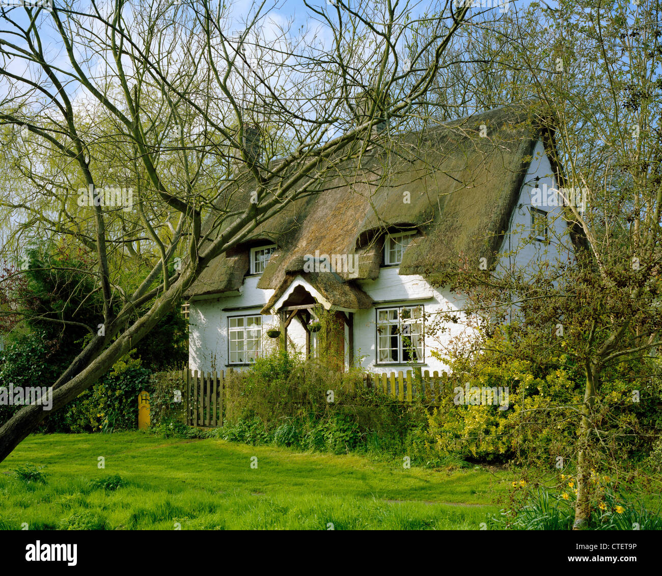 Thatched white cottage Ellsworth village Cambridgeshire England Stock ...