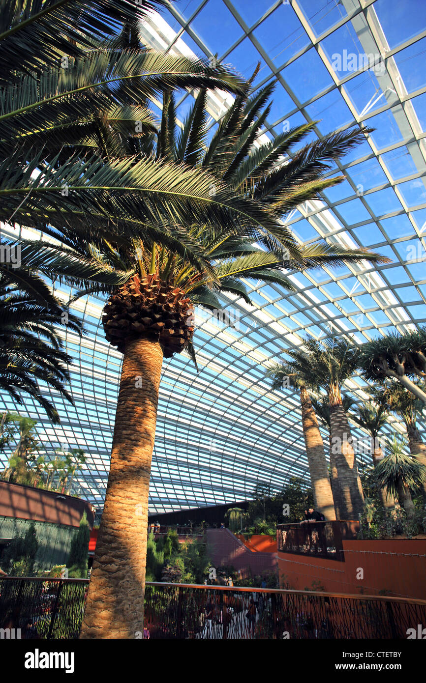 Interior of the Flower Dome conservatory at Gardens By The Bay in ...