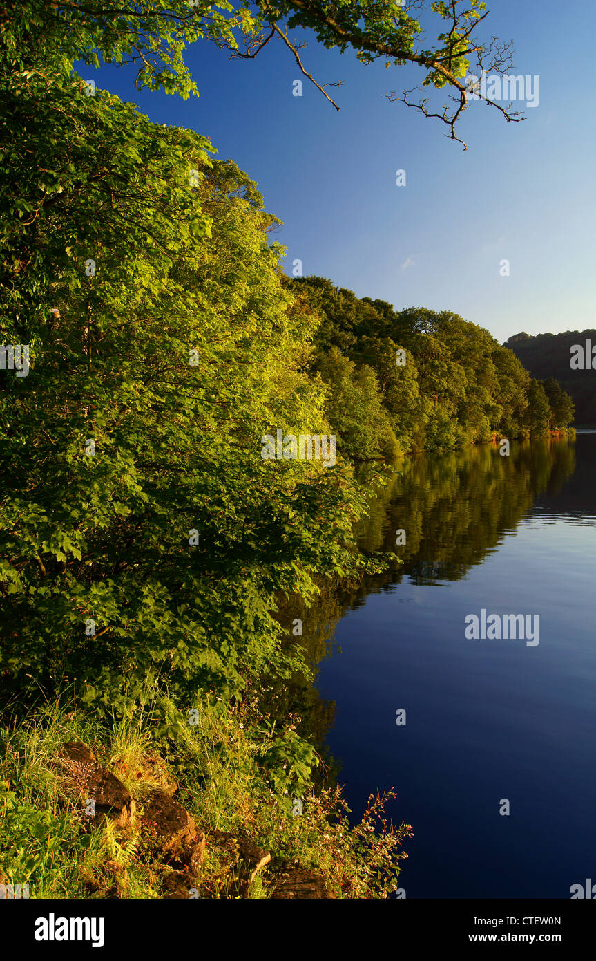 UK,South Yorkshire,Peak District,Near Sheffield,Damflask Reservoir at ...