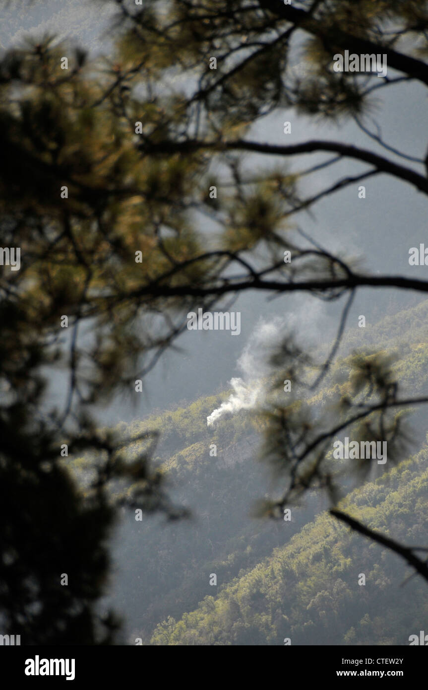 A forest fire burns on Mount Lemmon, Santa Catalina Mountains, Coronado ...