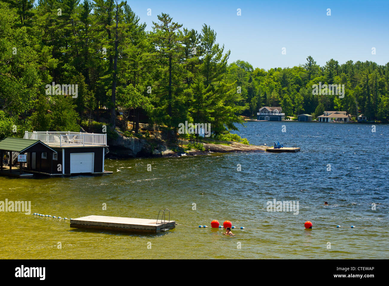Country Summer Lake Scene