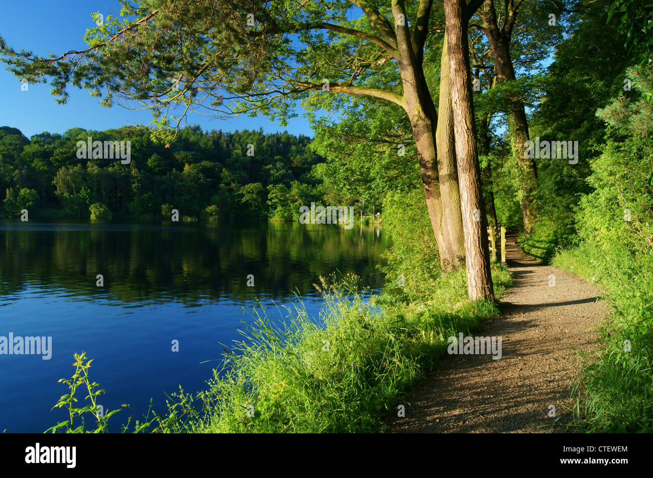 Damflask reservoir hi-res stock photography and images - Alamy