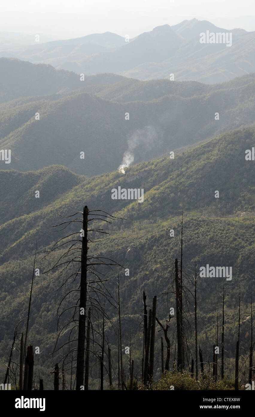A forest fire burns on Mount Lemmon, Santa Catalina Mountains, Coronado ...