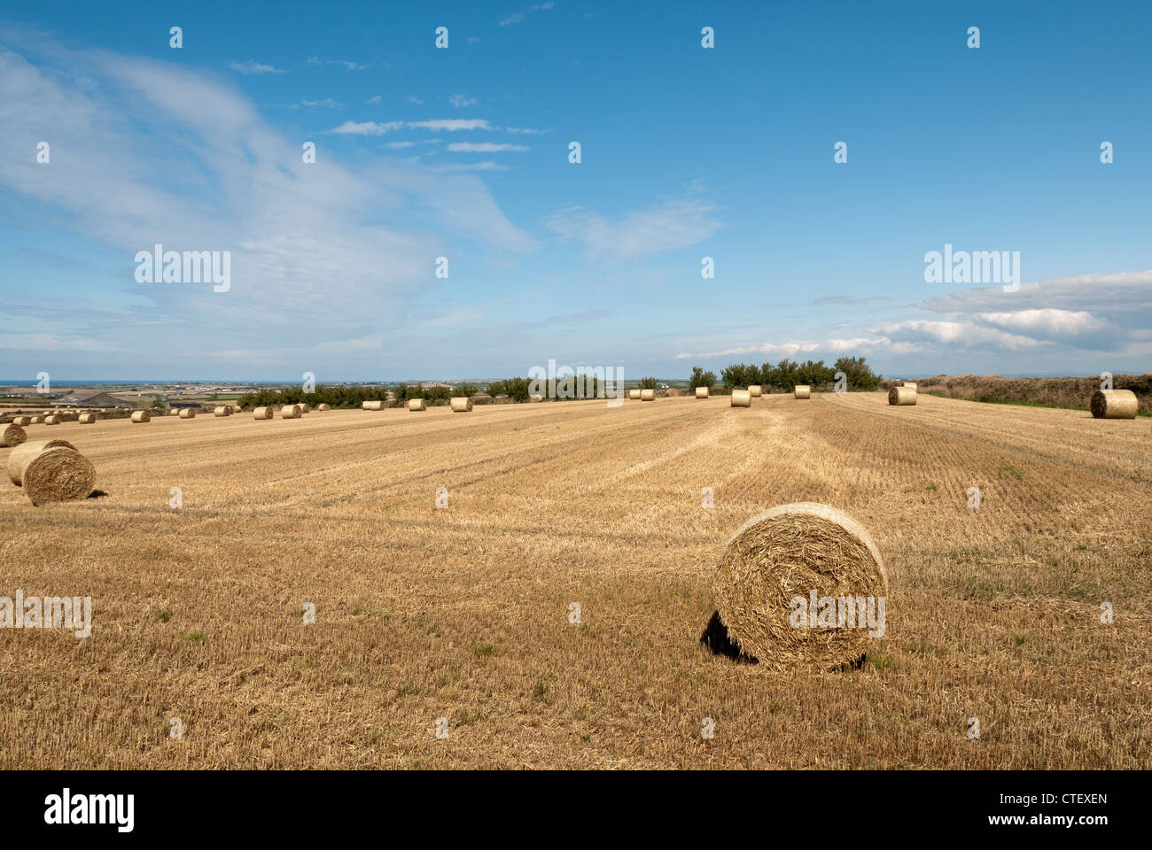 Overview of a wheat field with bales of hay in Cornwall Stock Photo - Alamy