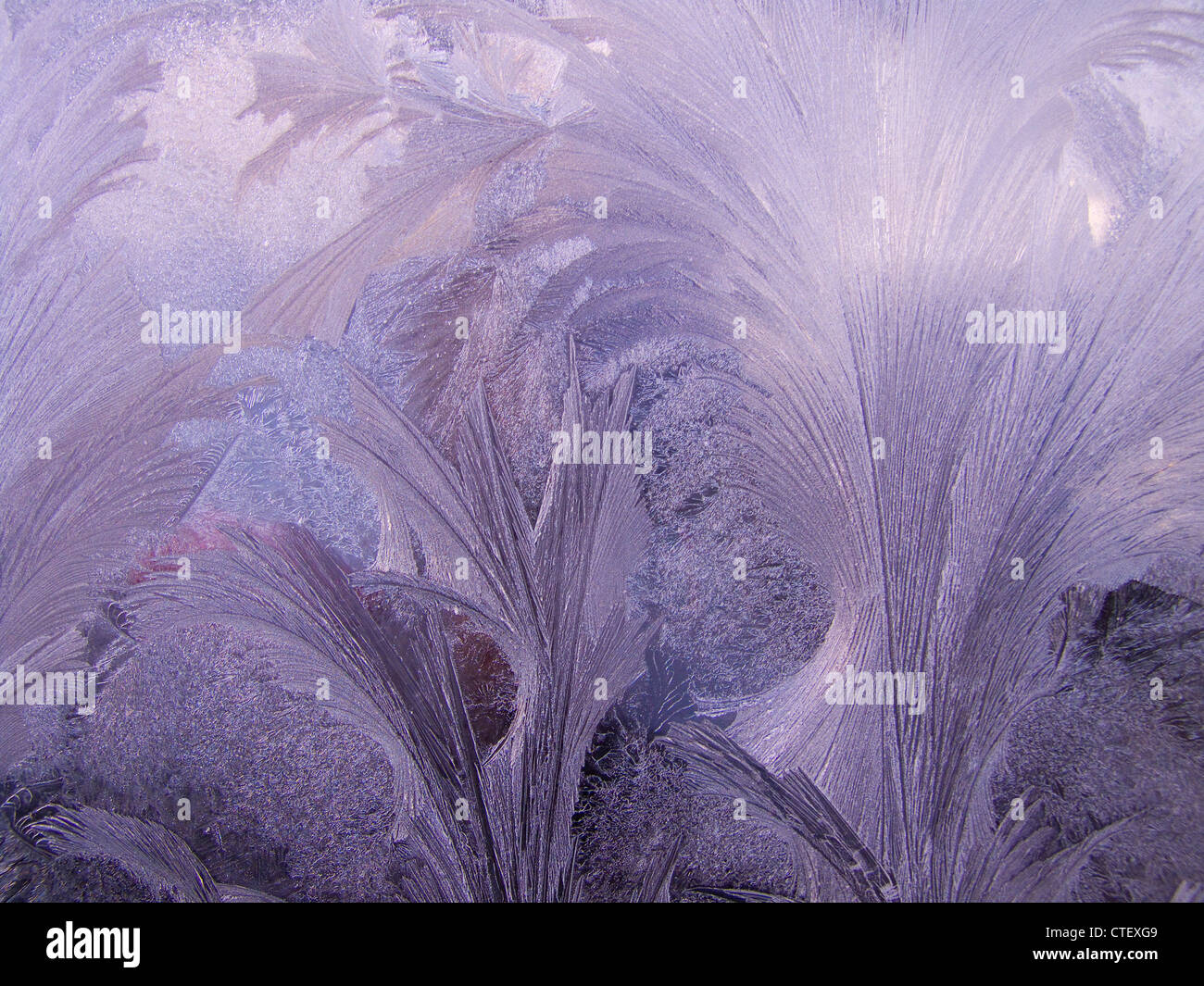 Nucleates hi-res stock photography and images - Alamy