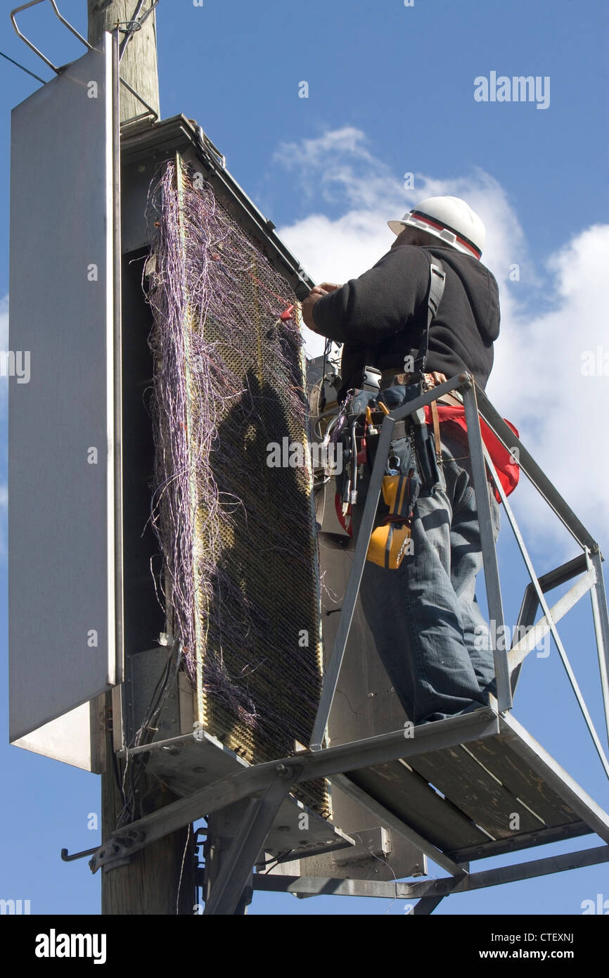 USA, New York, Long Island, New York City, Worker on telephone pole ...