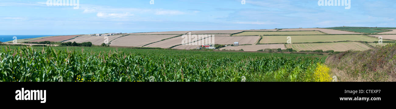 panoramic farmland in Cornwall Stock Photo - Alamy