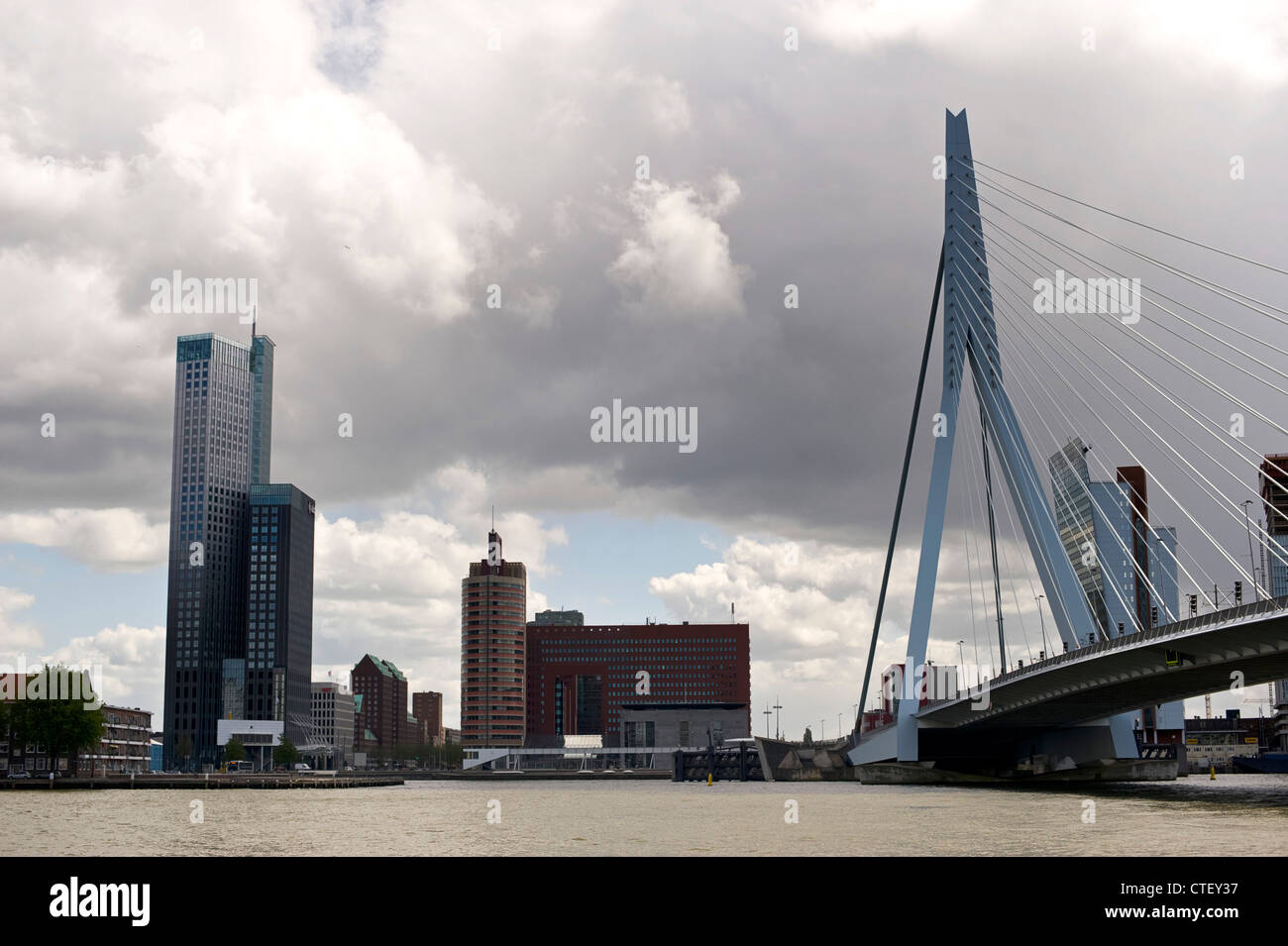 Erasmus bridge and the Rotterdam skyline Stock Photo - Alamy