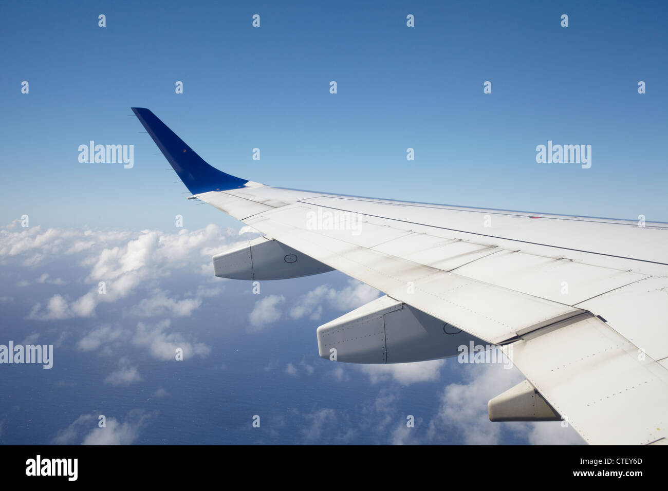 Wing only hi-res stock photography and images - Alamy