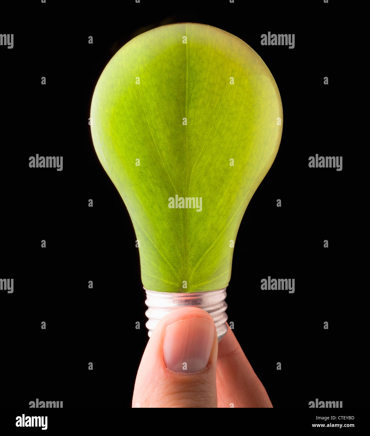 USA, Utah, Lehi, Close-up of light bulb with floral pattern Stock Photo ...