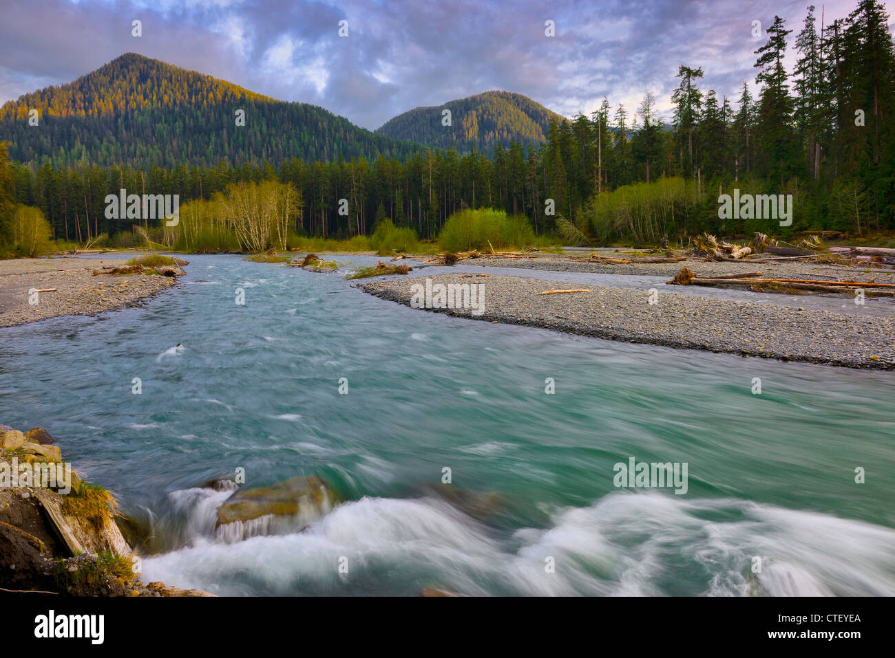 USA, Washington, Olympic National Park, Landscape with mountain and ...