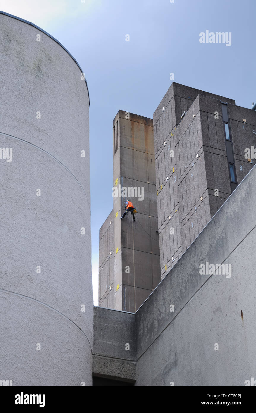 Abseil jungle hi-res stock photography and images - Alamy