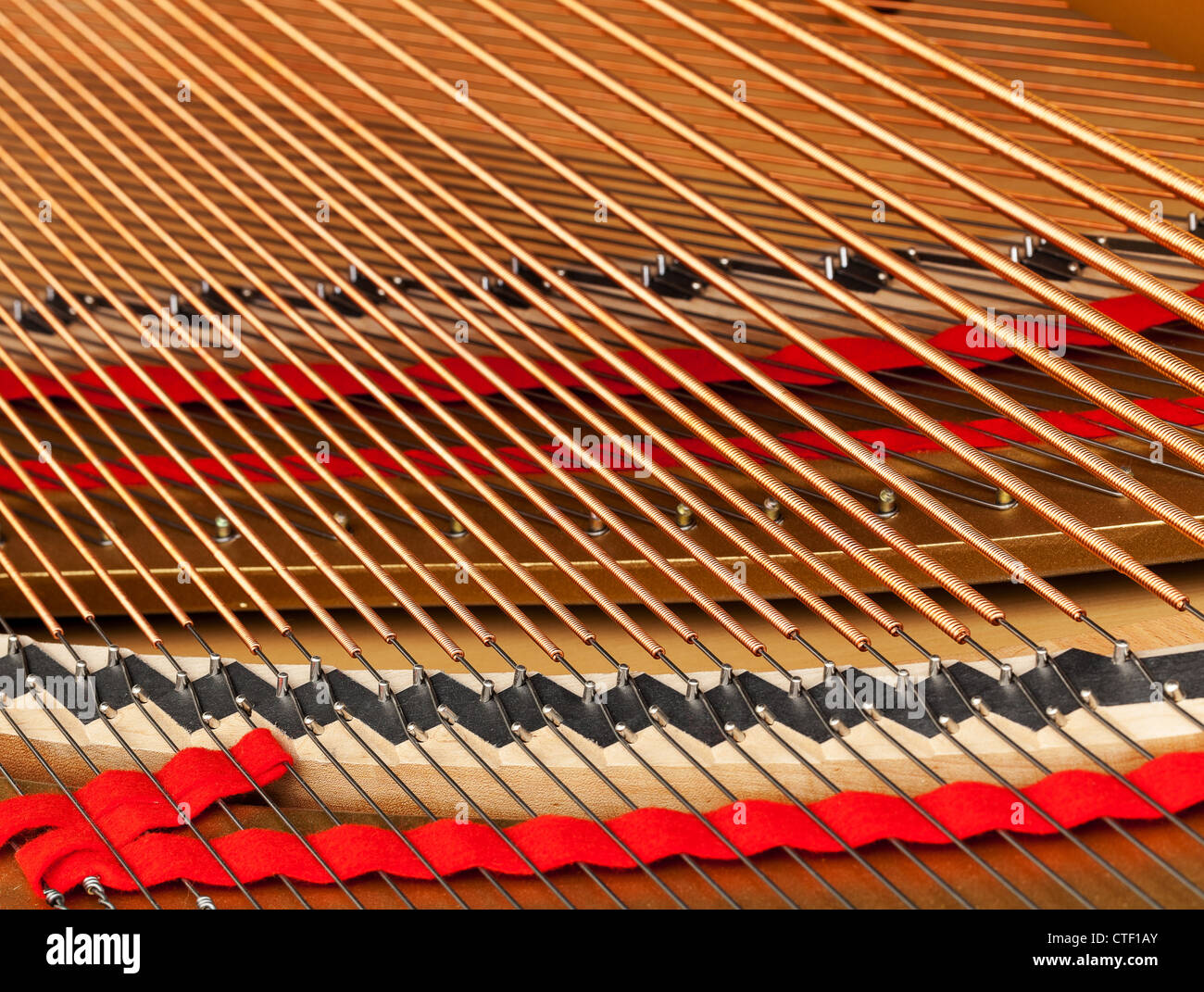 Detailed interior of grand piano showing the strings, pegs, sound board ...