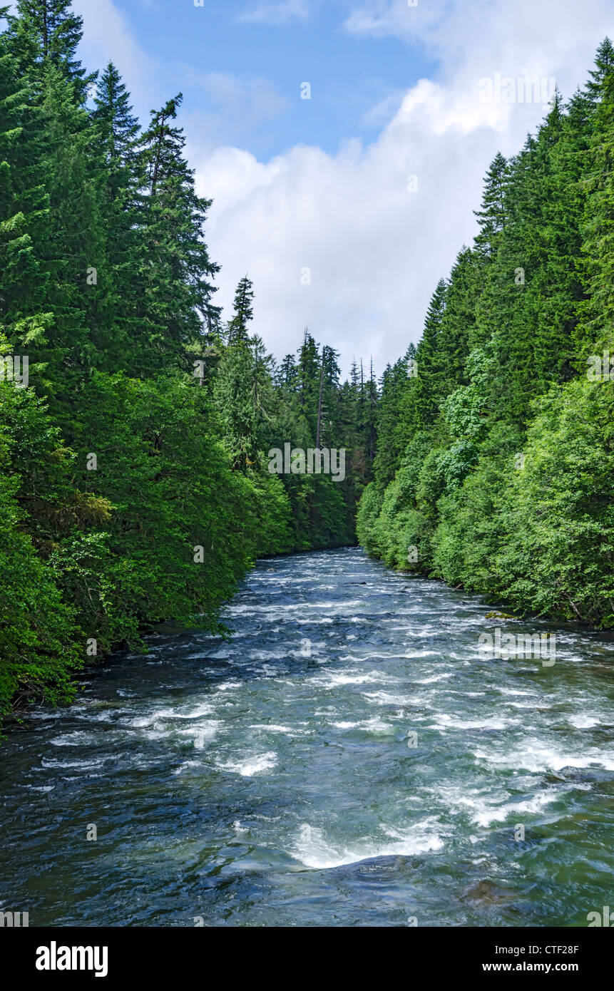 Santiam River in the Cascade Mountains Stock Photo - Alamy
