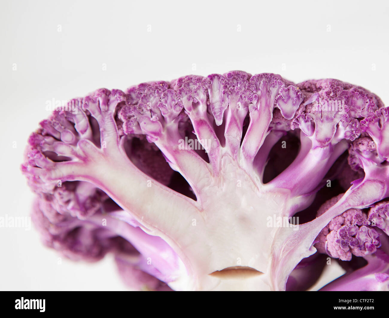 Cauliflower Cross Section High Resolution Stock Photography and Images ...
