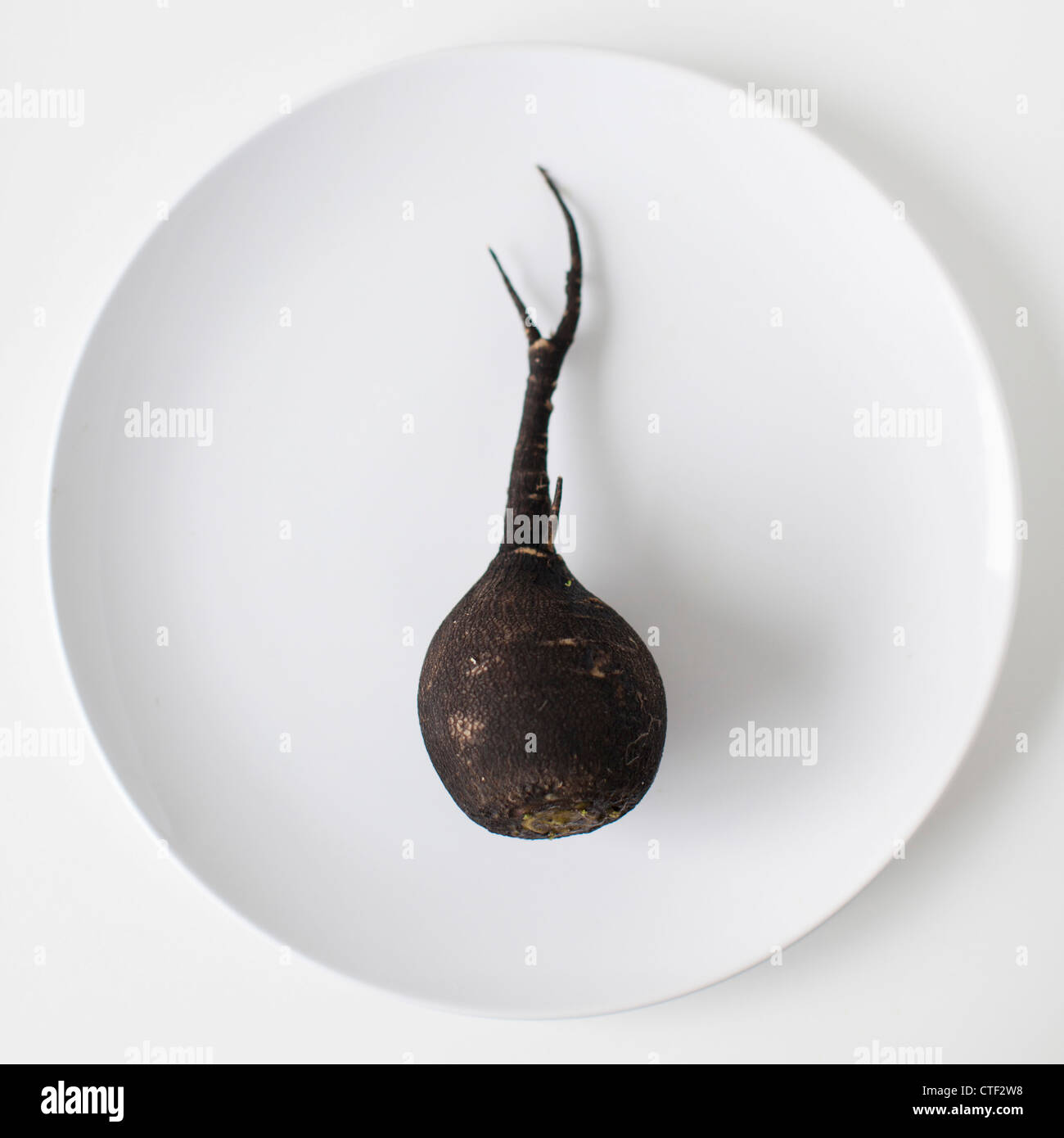 Turnip on plate, studio shot Stock Photo - Alamy