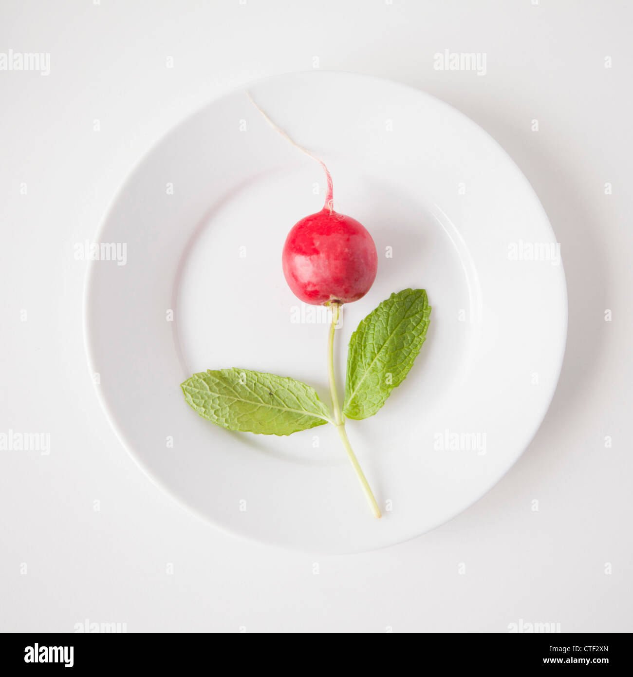 Flower on plate made out of food, studio shot Stock Photo - Alamy