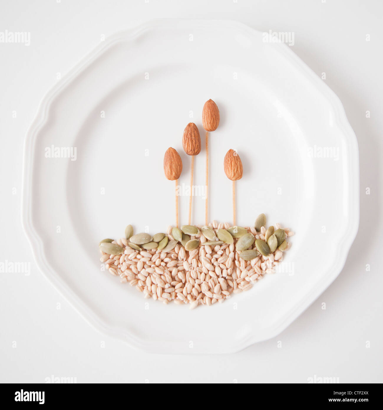 Composition of seeds, studio shot Stock Photo - Alamy