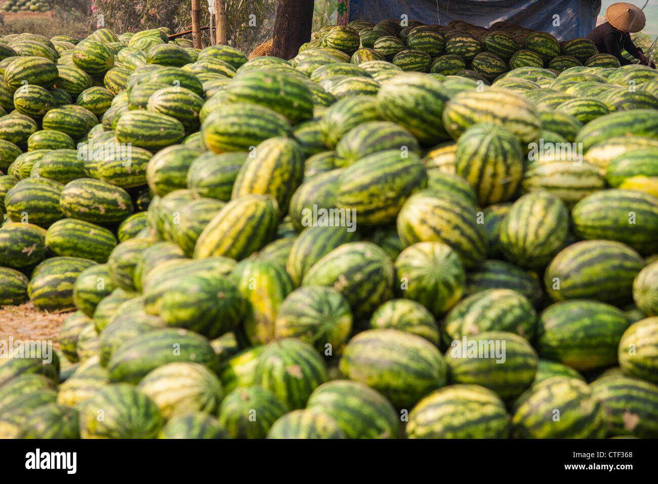 Watermelon vendor near Mandalay, Myanmar Stock Photo - Alamy