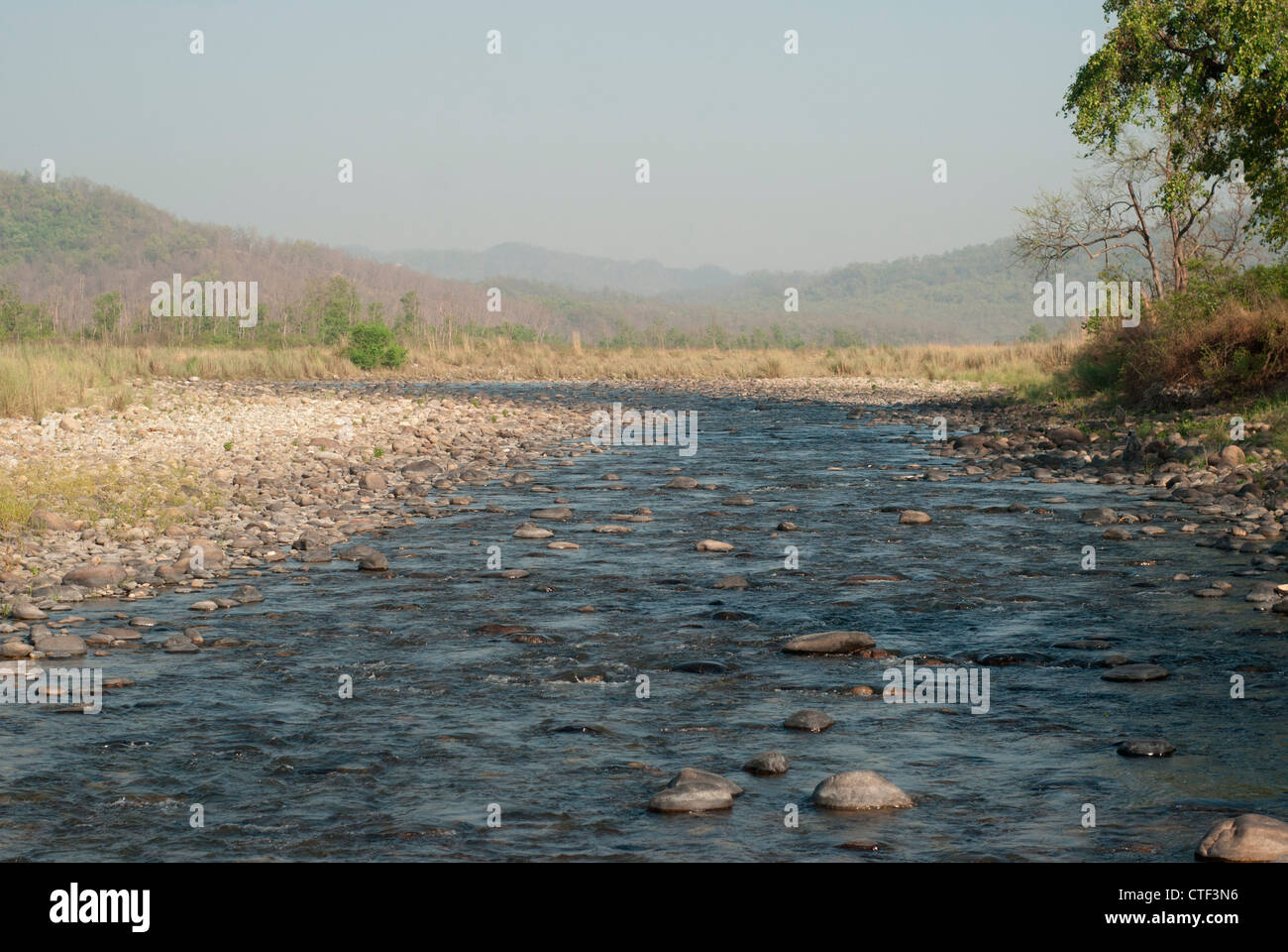 Dhikala , the heart of Corbett Tiger Reserve at the foothills of the ...