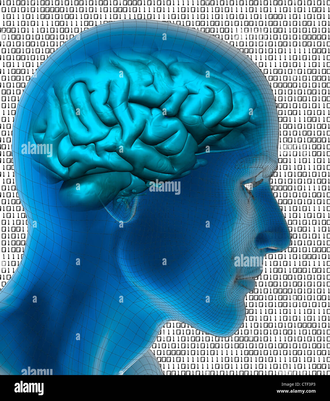 Conceptual image of human brain Stock Photo - Alamy