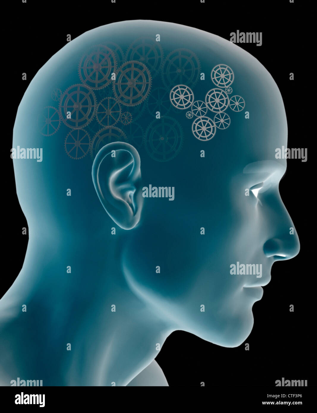 Illustration human brain on hi-res stock photography and images - Alamy