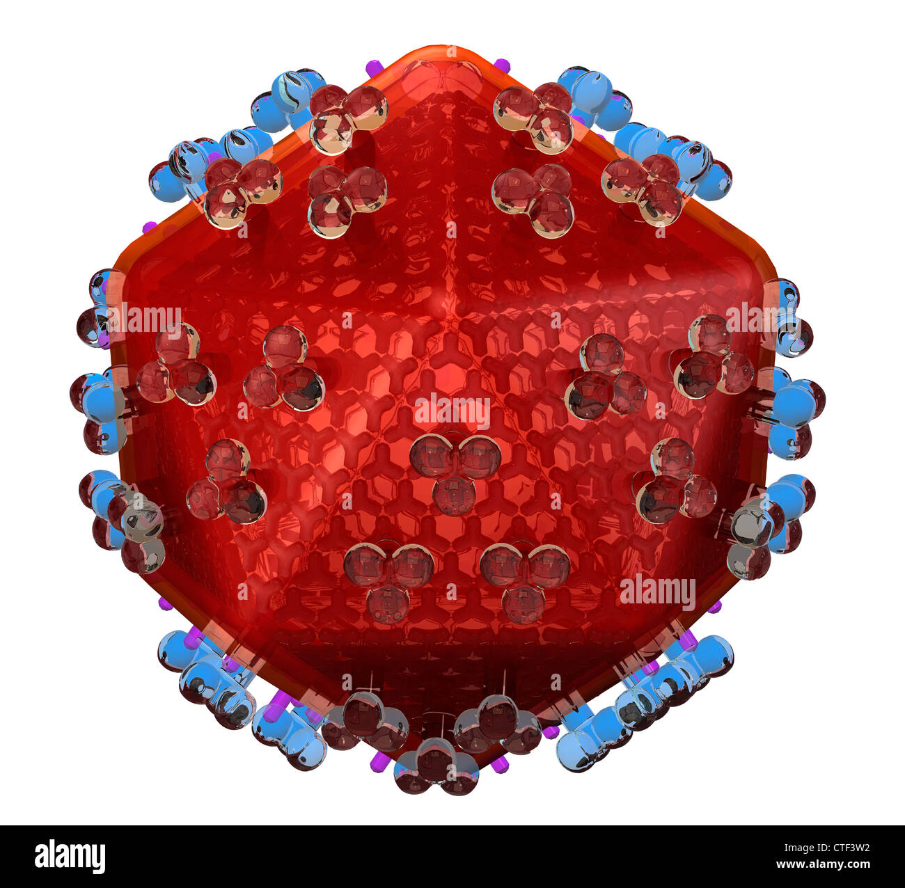 Conceptual image showing human body cell Stock Photo - Alamy