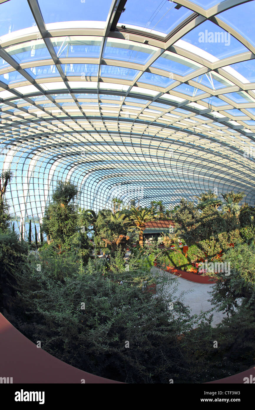 Interior of the Flower Dome conservatory at Gardens By The Bay in ...