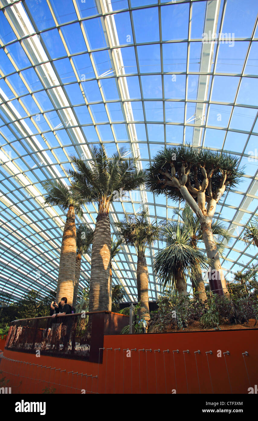 Interior of the Flower Dome conservatory at Gardens By The Bay in ...
