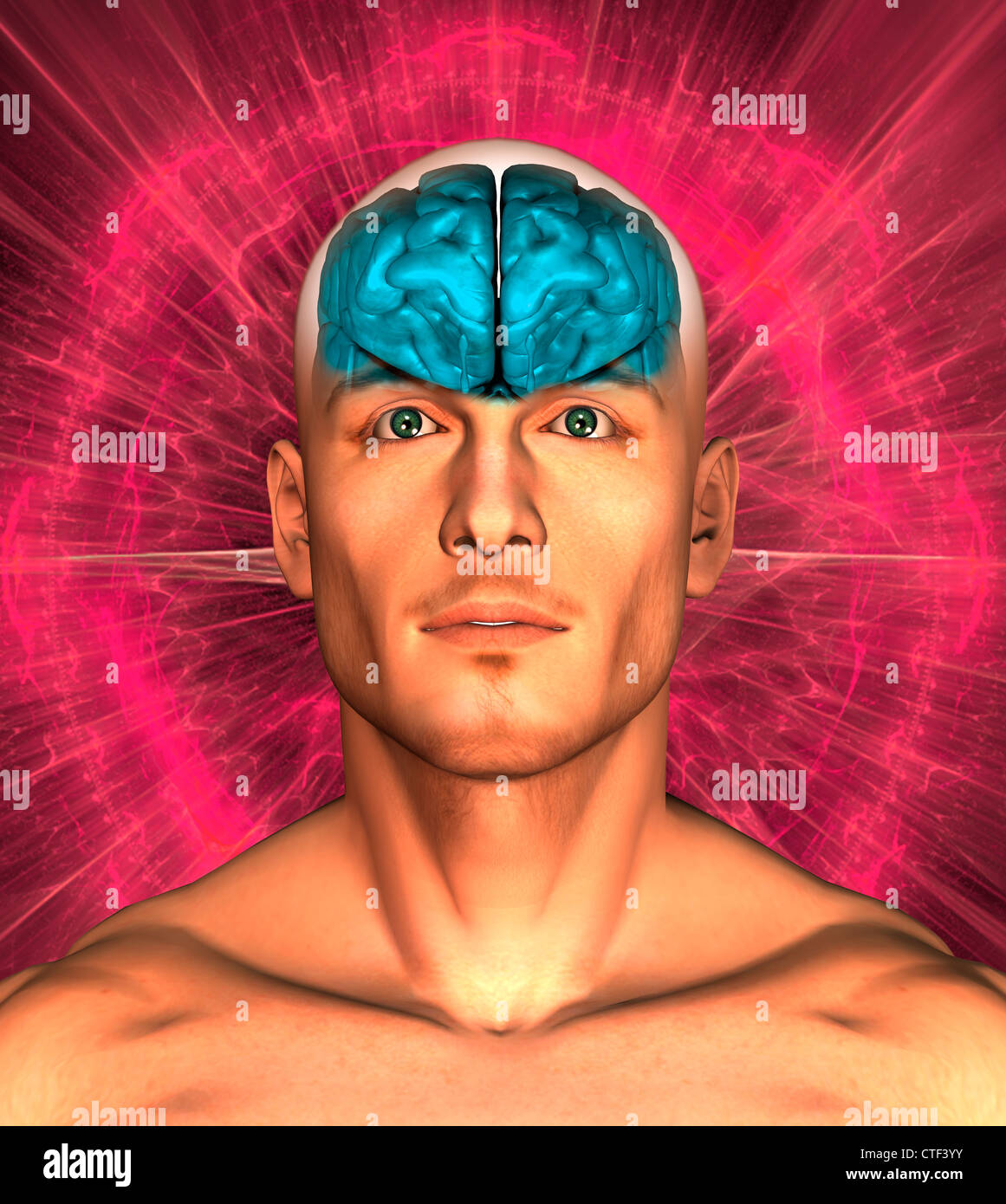 Digitally generated image of human head with inner human organs visible ...
