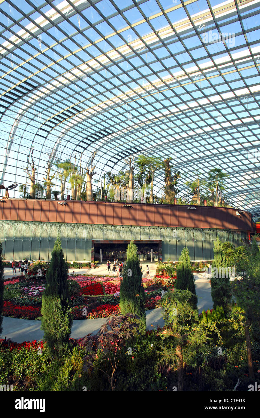 Interior of the Flower Dome conservatory at Gardens By The Bay in ...