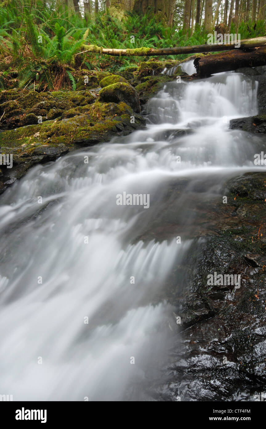 Wallace Falls State Park, Washington, USA Stock Photo - Alamy