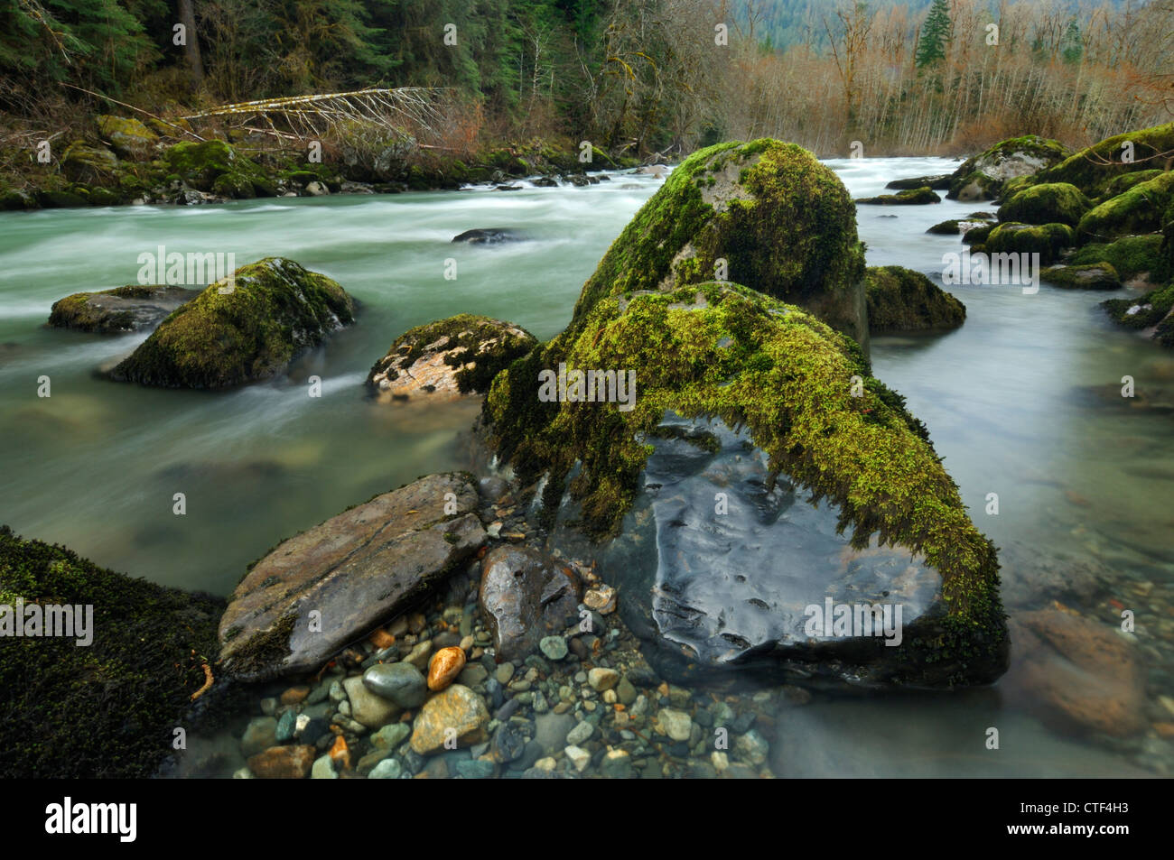 South Fork of the Stillaguamish River in the Mount Baker-Snoqualmie ...