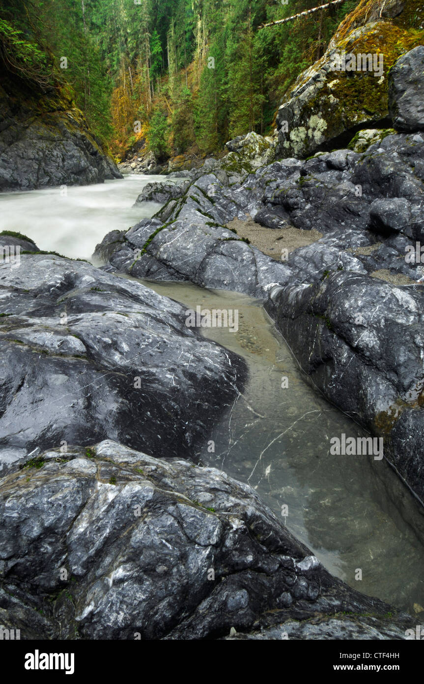 The South Fork of the Stillaguamish River flows through Robe Canyon ...
