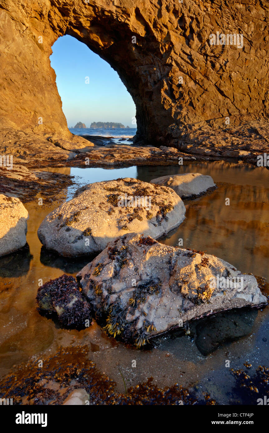 Sea arch named Hole in the Wall in Olympic National Park, Washington ...