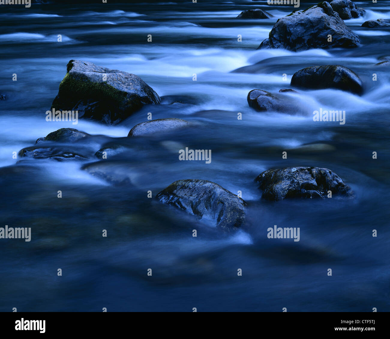 Stones in sea water Stock Photo - Alamy